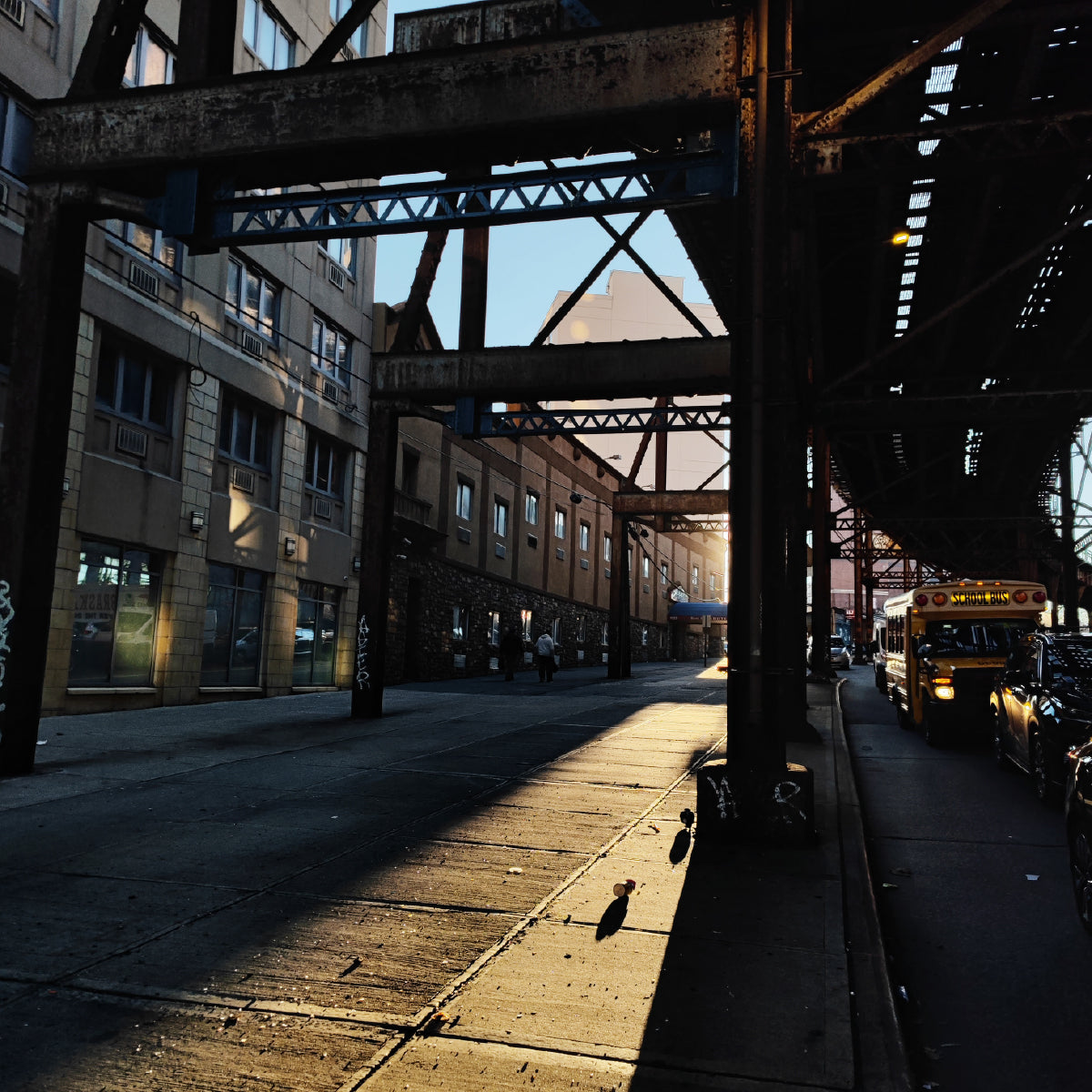 The Bronx 2 – Amadeus Long