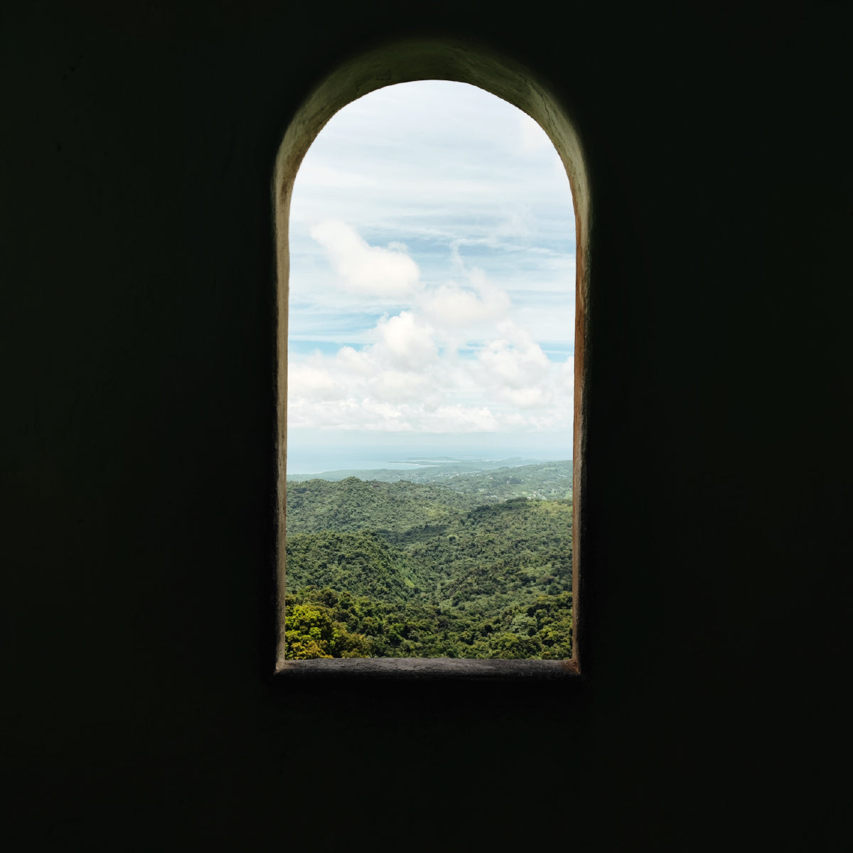 Puerto Rico – Amadeus Long