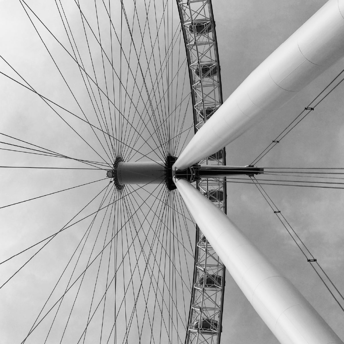 London Eye – Amadeus Long